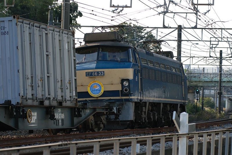 EF6636 /33 早朝HM… : ZAKKI2