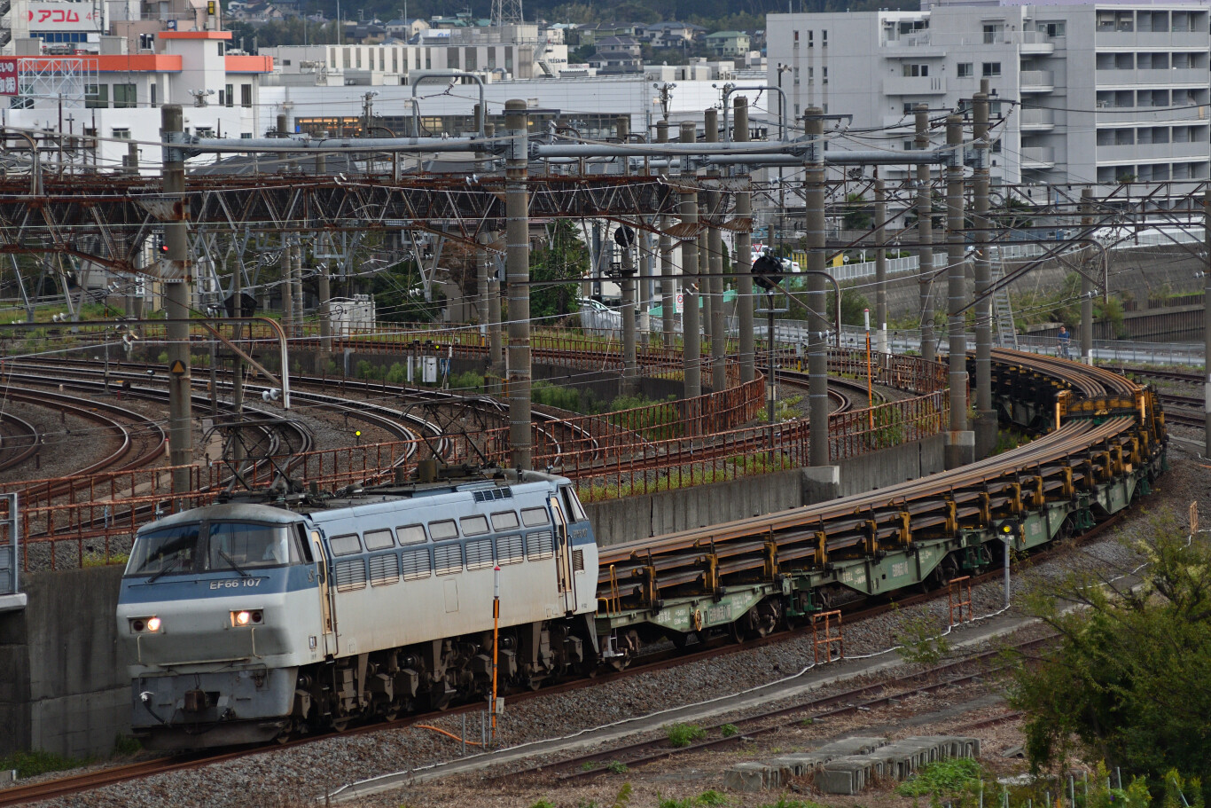 2019年撮影振り返り : ZAKKI2