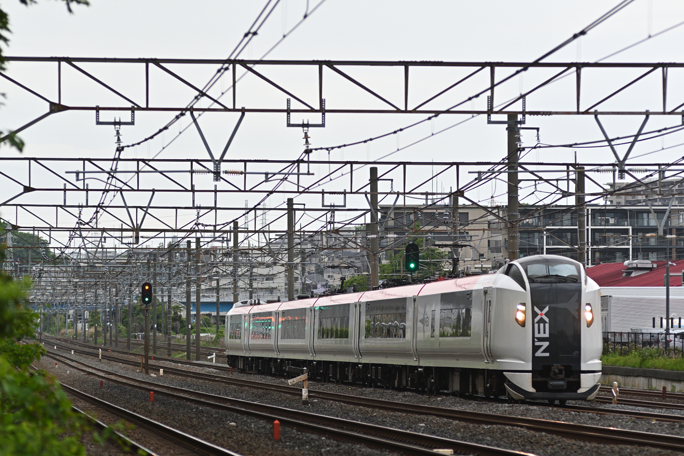 GW最終日 E257-E259-E261 : ZAKKI2