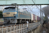 EF6616 : ZAKKI2