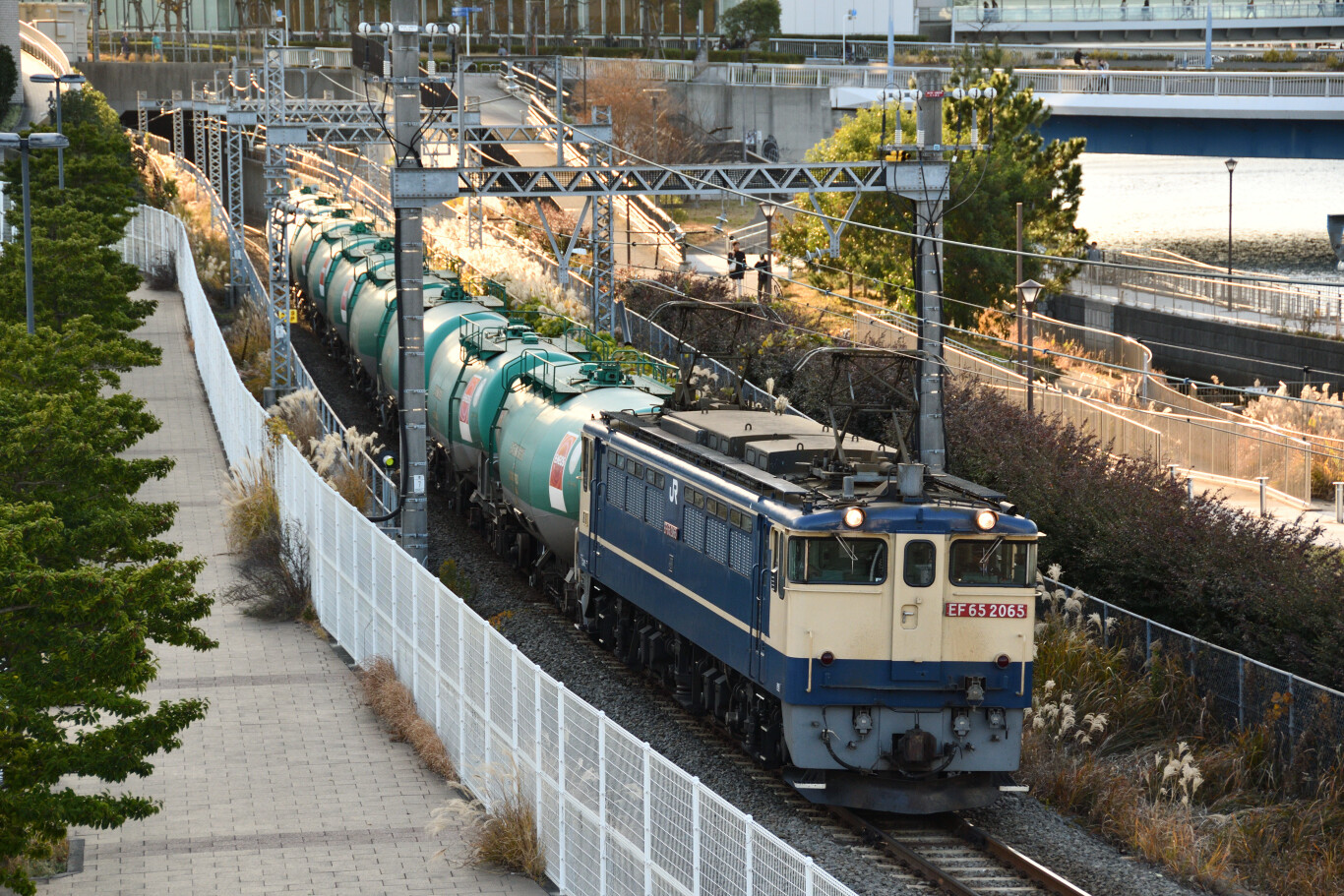 2019年撮り納め : ZAKKI2