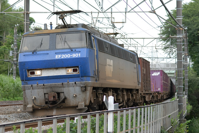EF200-901 : ZAKKI2