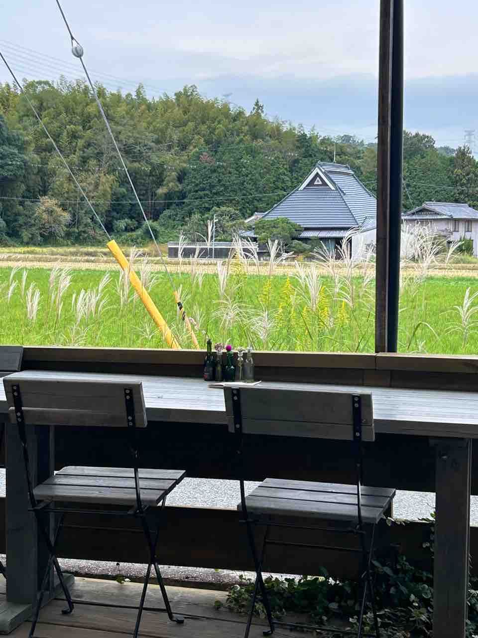 kobe ozo cafe 901:桜の木とススキ