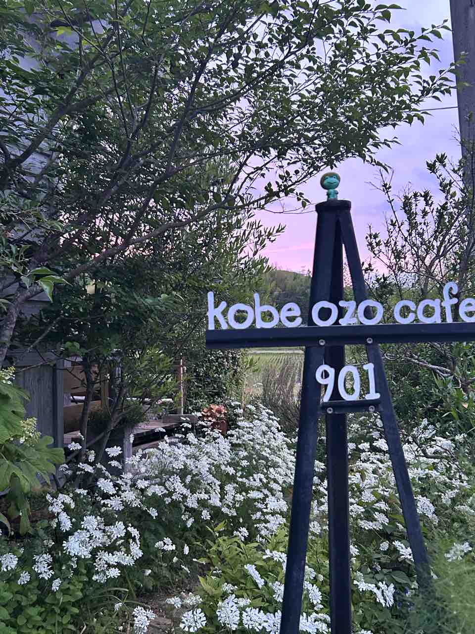 kobe ozo cafe 901:6月