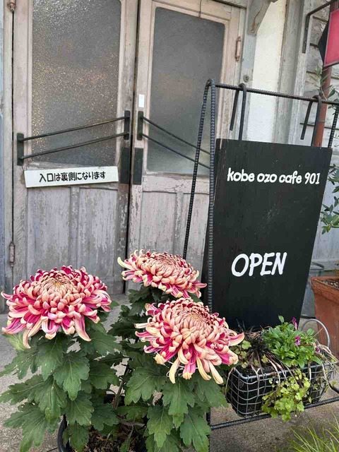 kobe ozo cafe 901:菊
