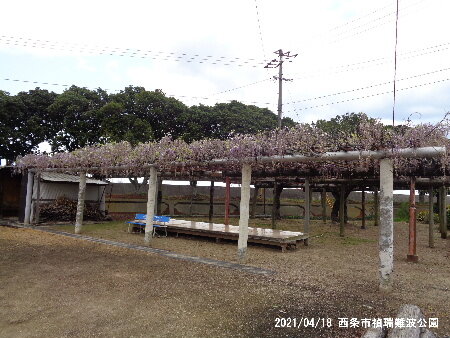 黒い旗 : のんびり日記