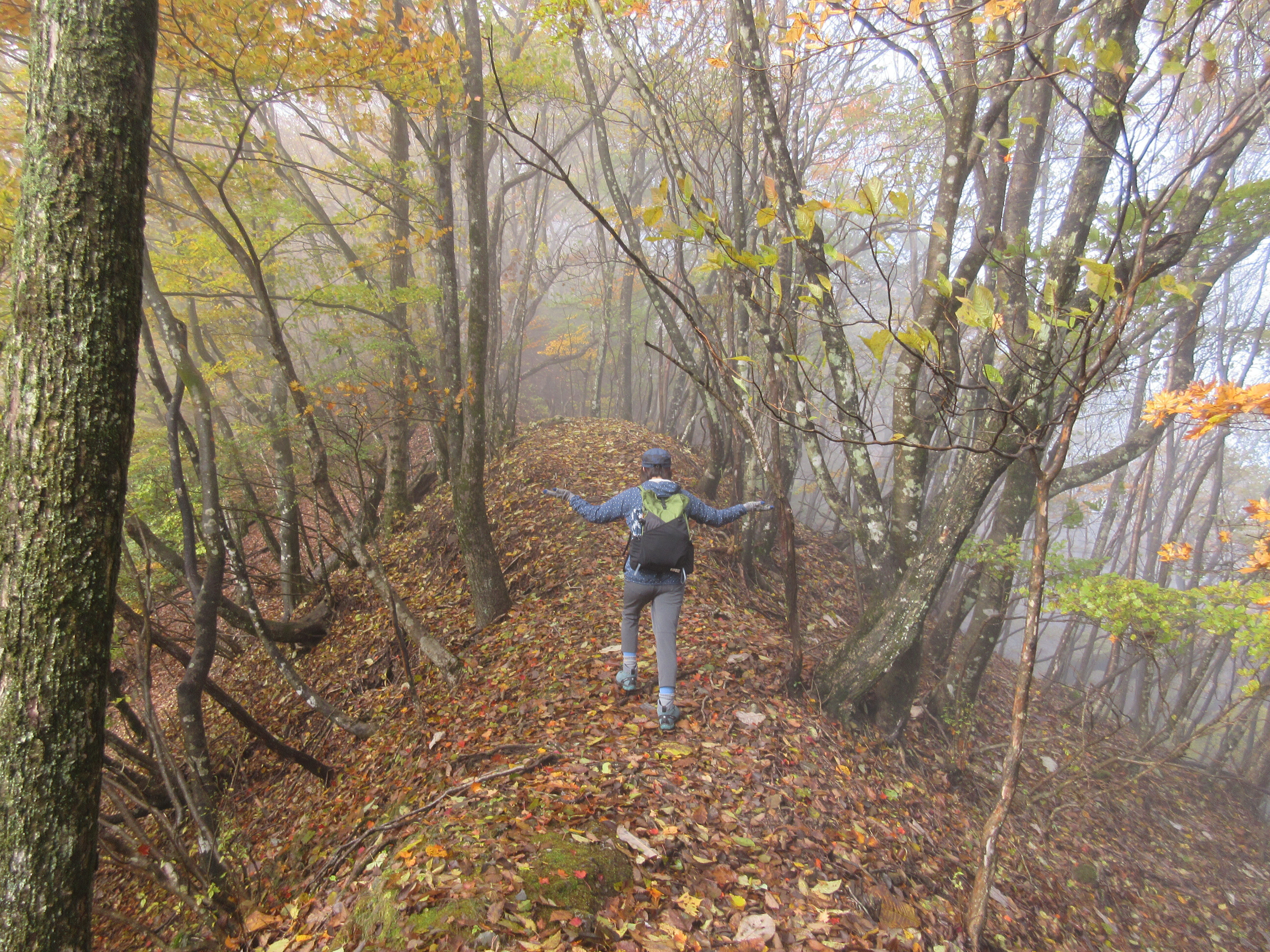 のんびり山ごはん、兜岩山 : タロヲでし。