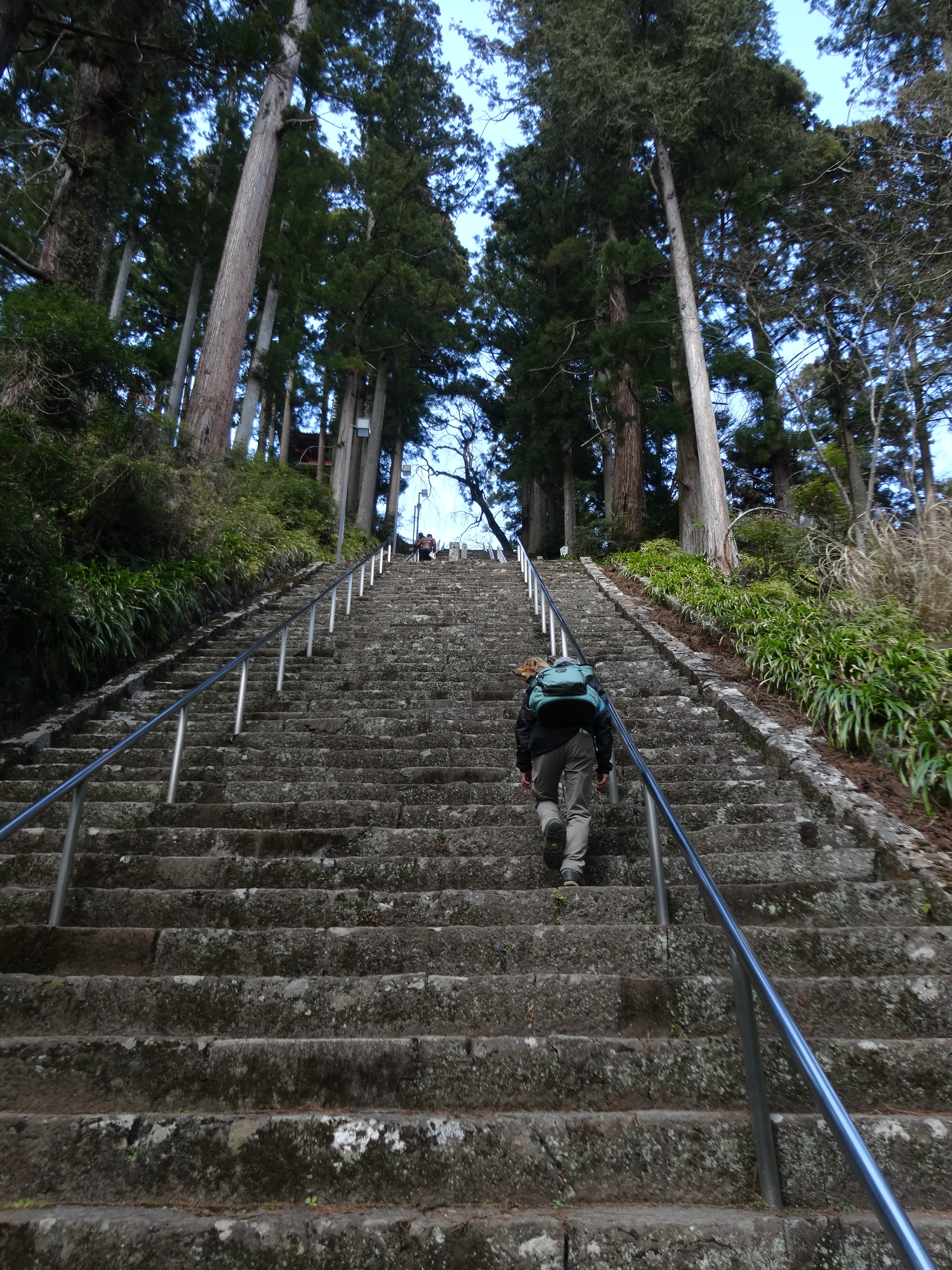 タロヲと御朱印巡り、身延山 : タロヲでし。