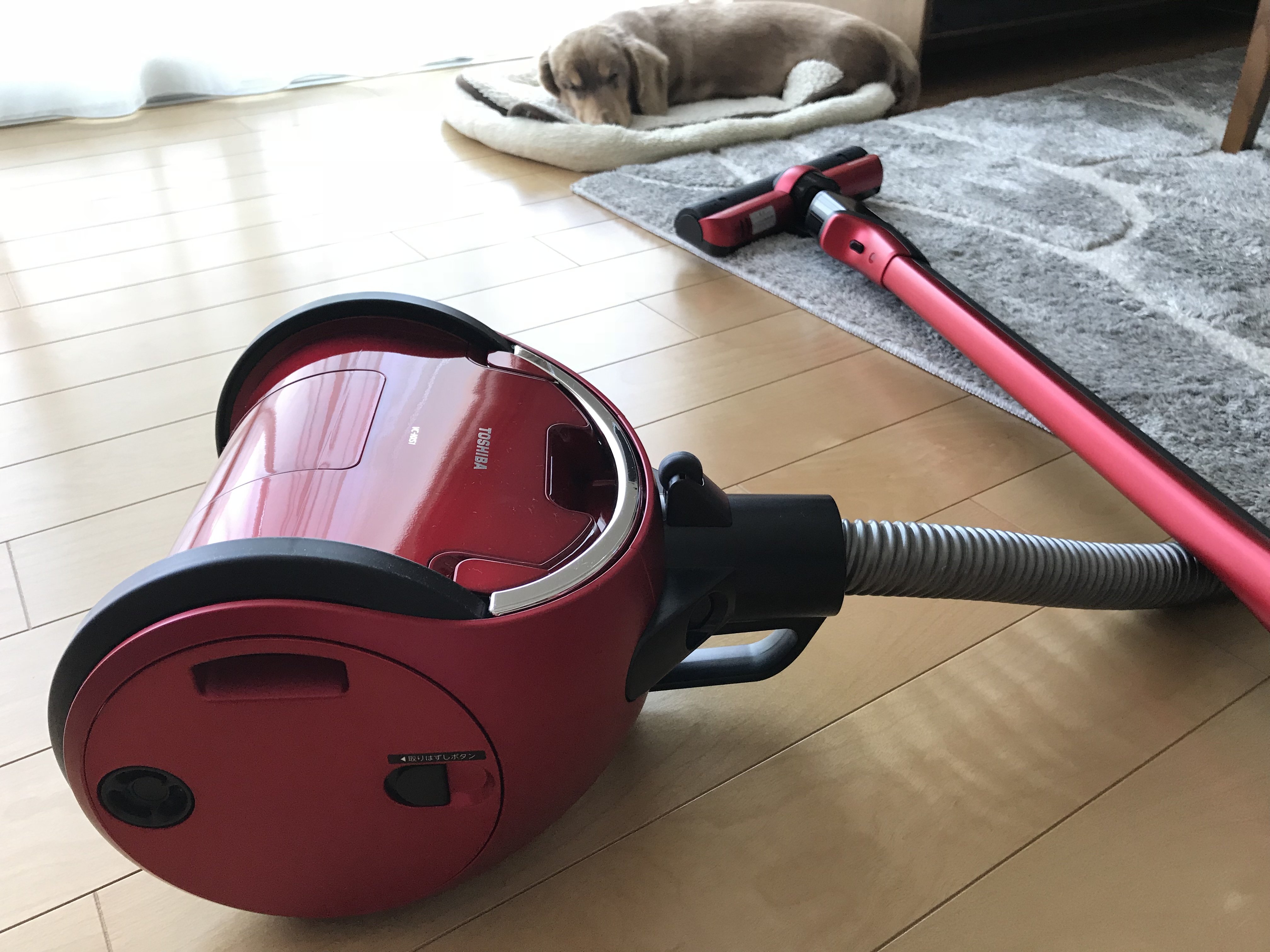 新入り : タロヲでし。