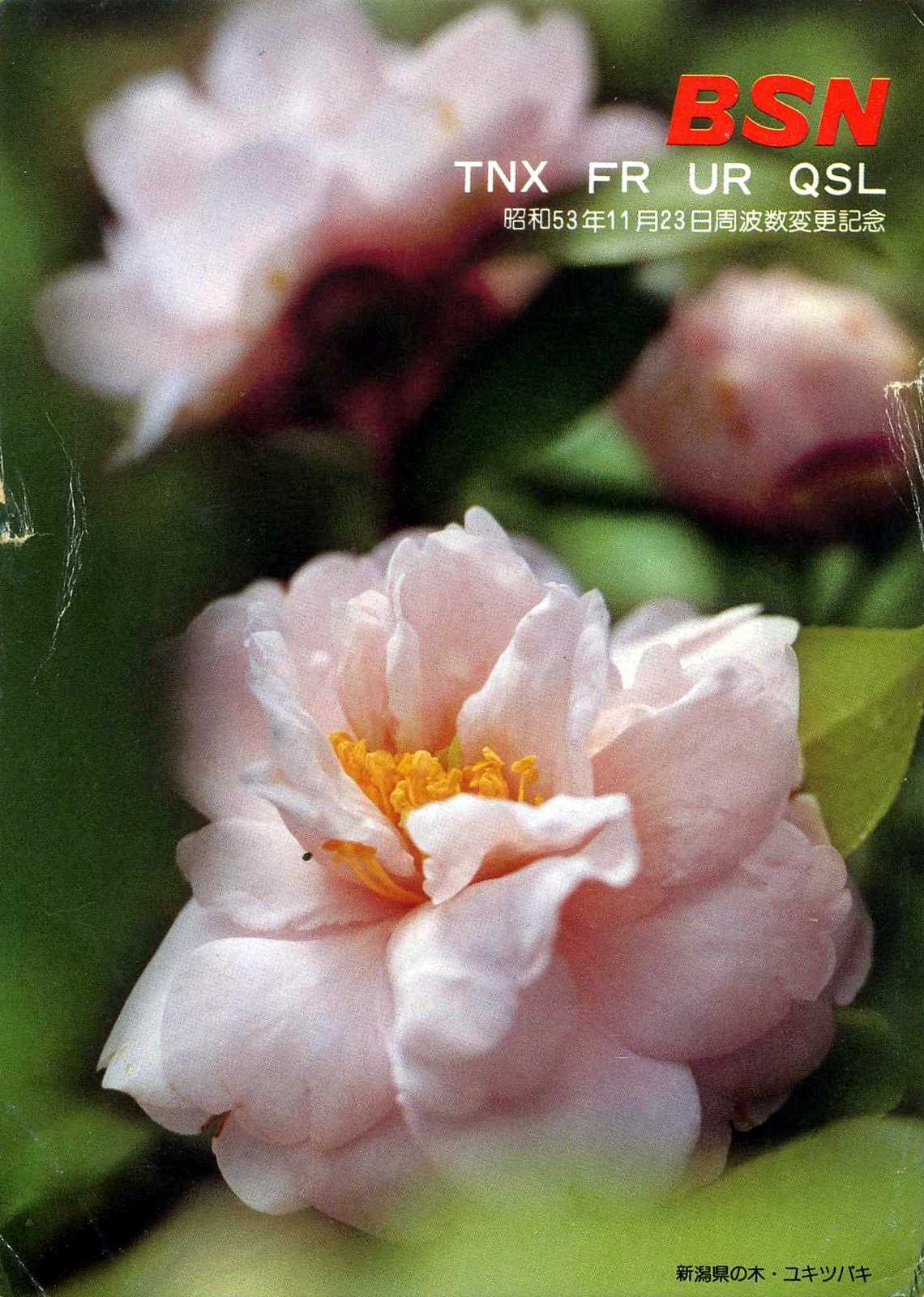 VERIFICATION CARD OF BROADCASTING STATION OF THE WORLD @ NIIGATA ...