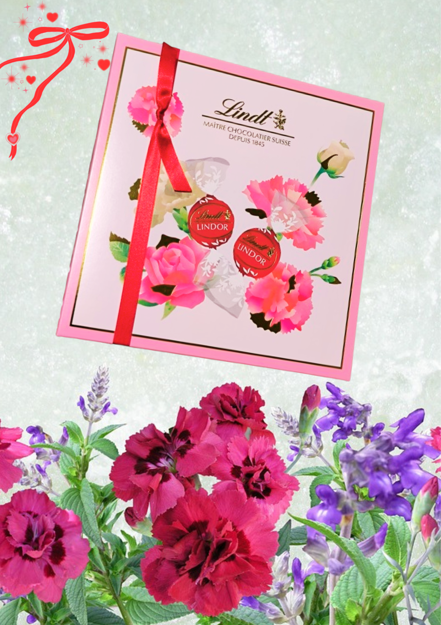 母の日のプレゼント自分へのご褒美にも - 気になったものをPRしています。