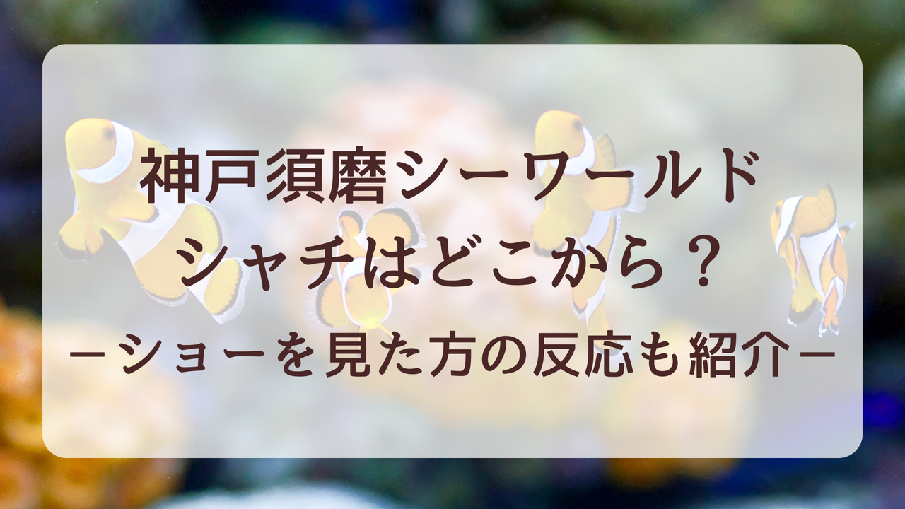 神戸須磨シーワールドホテルの水槽付き客室に注目！泊まると水族館が無料で楽しめる : ニュースチャンネル