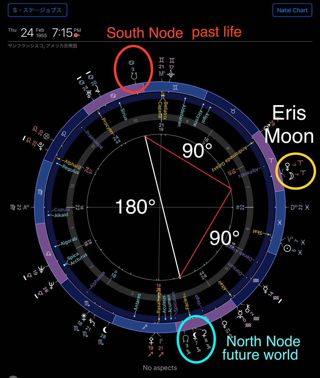 Astrological considerations: Mr. Steve Jobs' energy in the future and ...