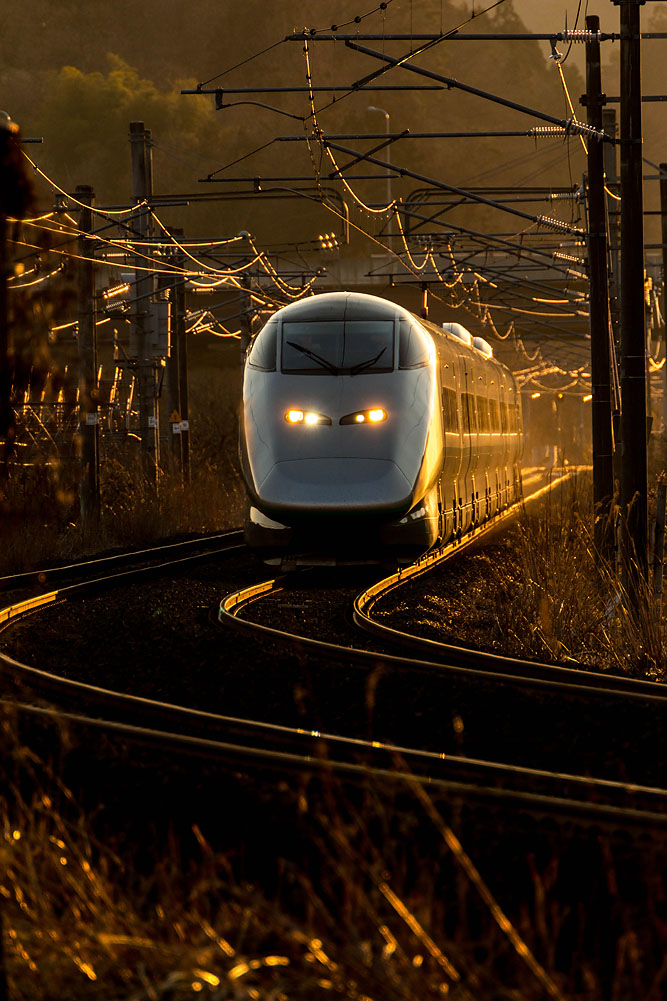 夕陽（E3系L52、L71、L72編成） : 山形新幹線・つばさ号を撮ってます 2