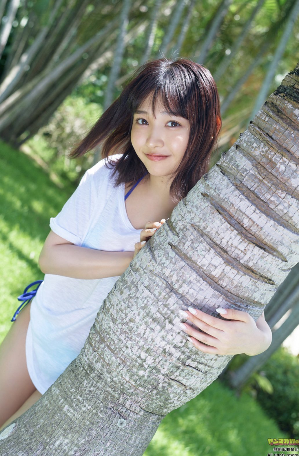 紀内乃秋 : グラビア格納庫