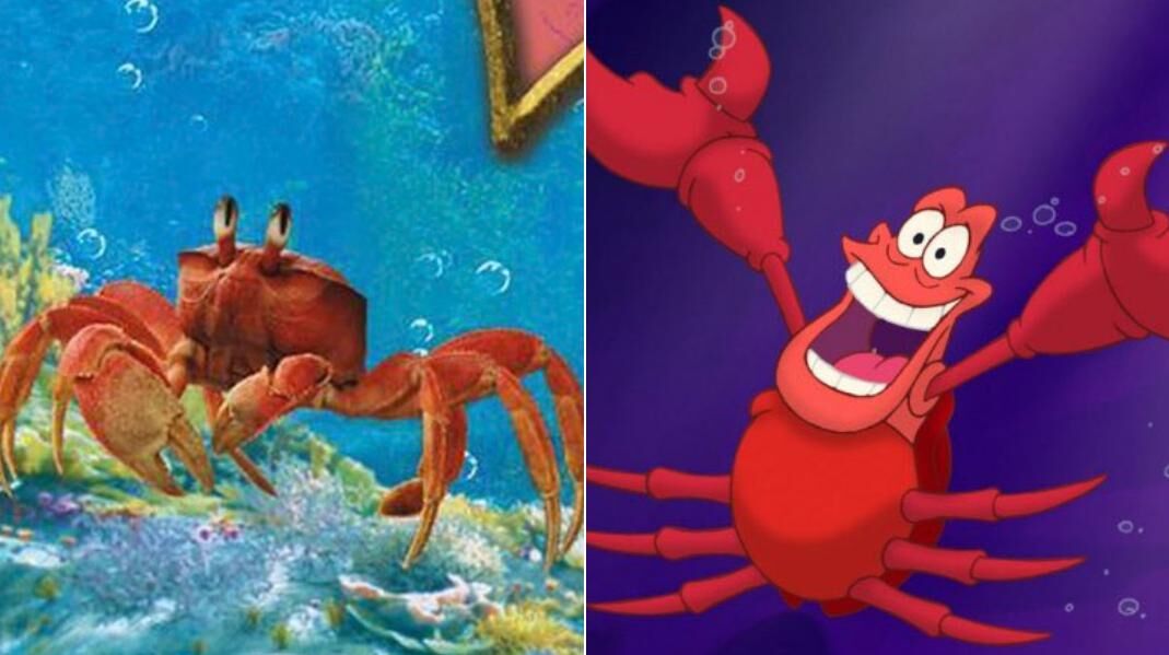 【悲報】実写版リトルマーメイド、魚までポリコレになる - コノユビニュース