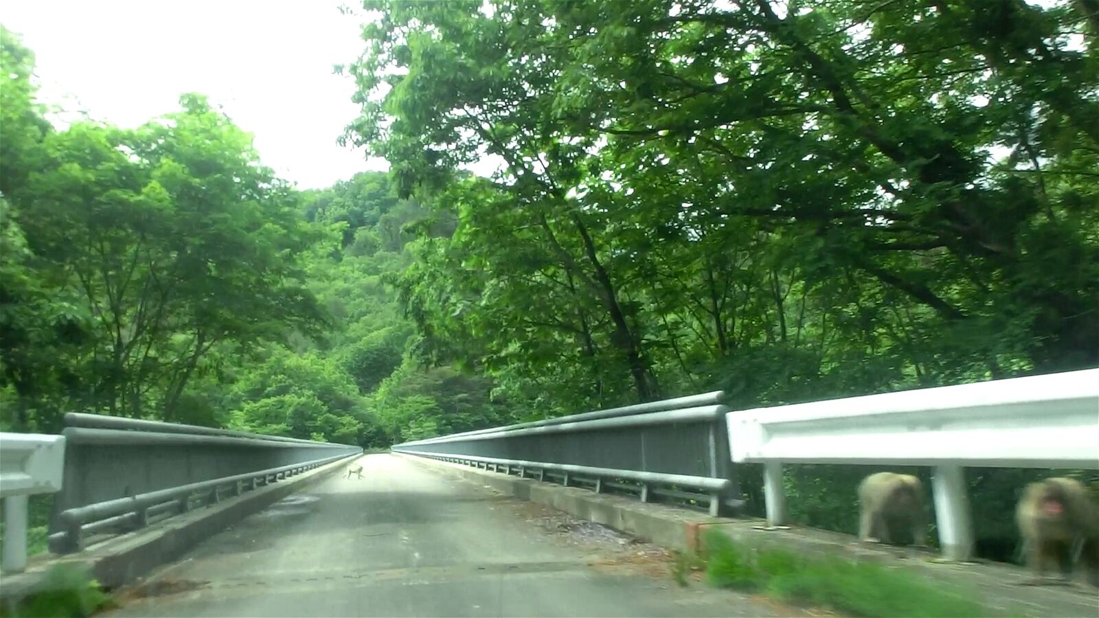 こどた ブ : 2022年冬 東北メバル遠征 ＠R101,R103,R113 【追記：R103冬季閉鎖動画】