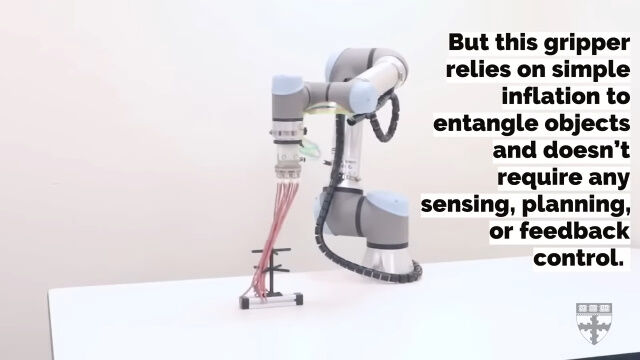 触手が獲物を絡め取る動きを再現した、細い触手の集合体ロボットグリッパー