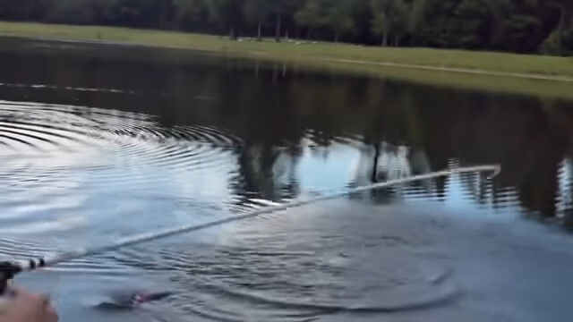 本物の魚のようにスイスイ泳ぐ電動ルアー Animated Lure