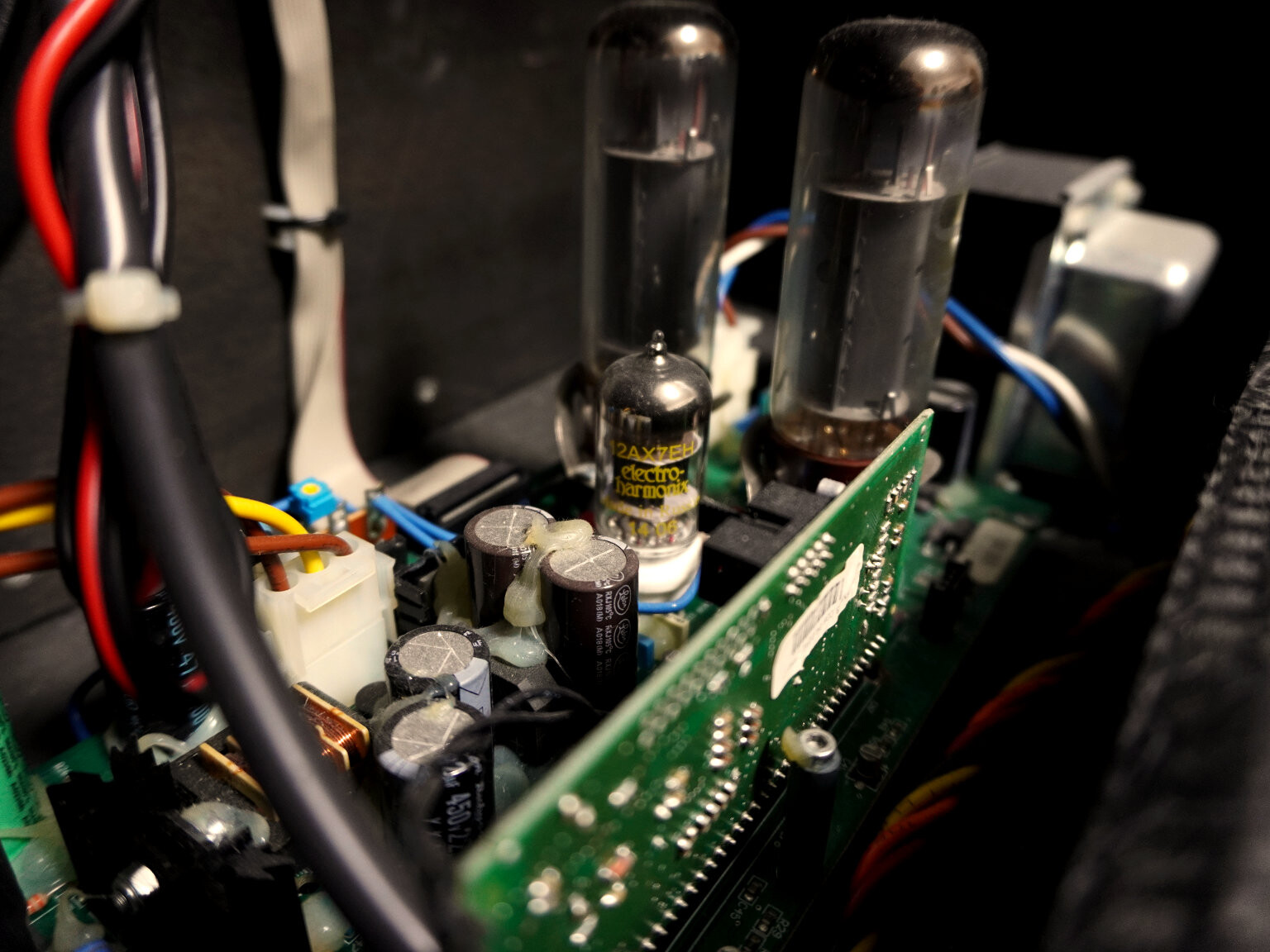 DV Markは生き返るわ、何度でも : フリーターギタリストは働きたくない