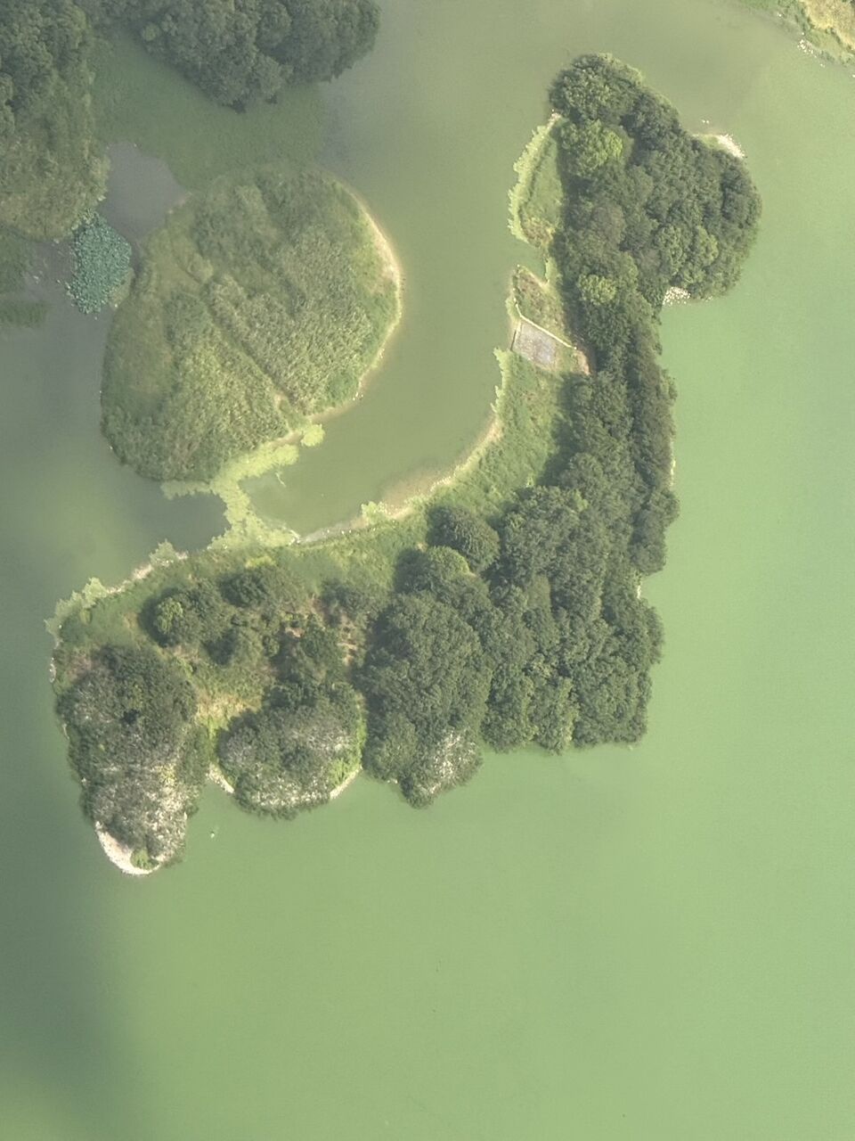岩手県・宮城県・夏の特別探訪の日記 : 中之島 考古学 古代史 探訪 サークル