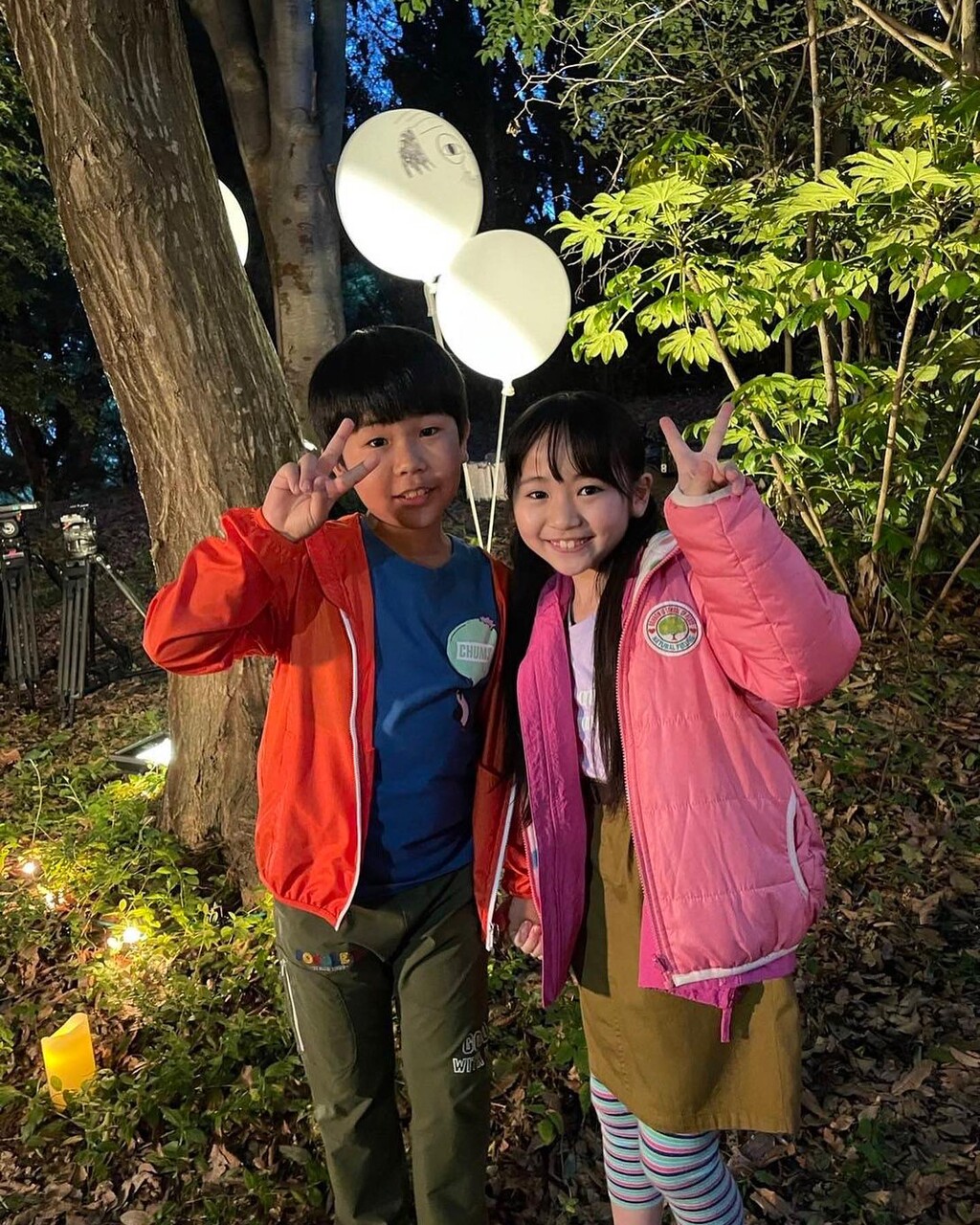 6月13日（月）～6月15日（水） 子役 テレビ・イベント 出演情報 寺田心 岩﨑愛子 小林優仁 三井絢月 番家天嵩 村山輝星 原菜乃華 本田 ...