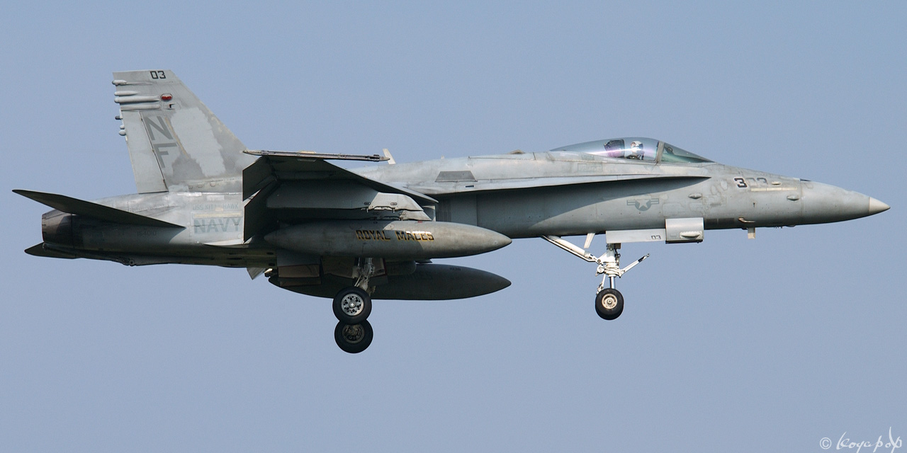 Koyapop’s LIBRARY ☆ BEAUTIFUL PLANES OF THE '00s +1 ☆ : VFA-192 NF-303 -03