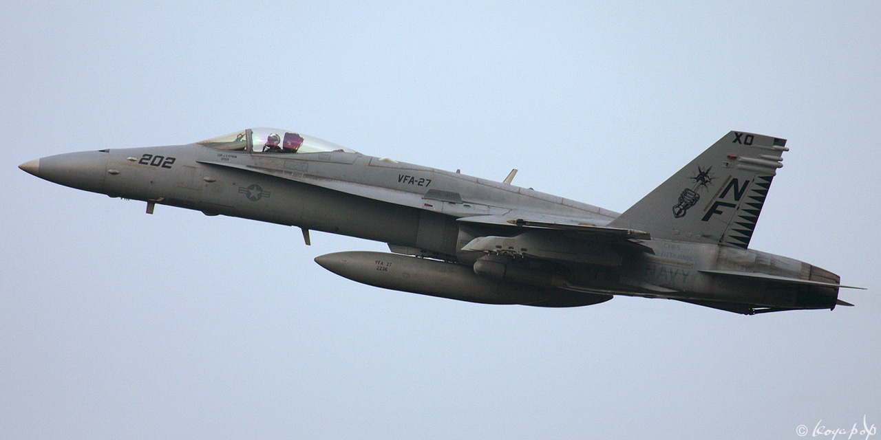 Koyapop’s LIBRARY ☆ BEAUTIFUL PLANES OF THE '00s +1 ☆ : VFA-27 NF-202