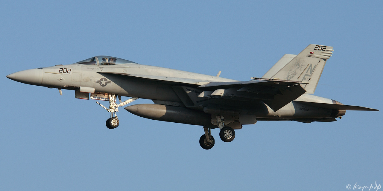 Koyapop’s LIBRARY ☆ BEAUTIFUL PLANES OF THE '00s +1 ☆ : VFA-27 NF-202