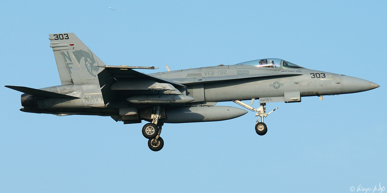 Koyapop’s LIBRARY ☆ BEAUTIFUL PLANES OF THE '00s +1 ☆ : VFA-192 NF-303 -03