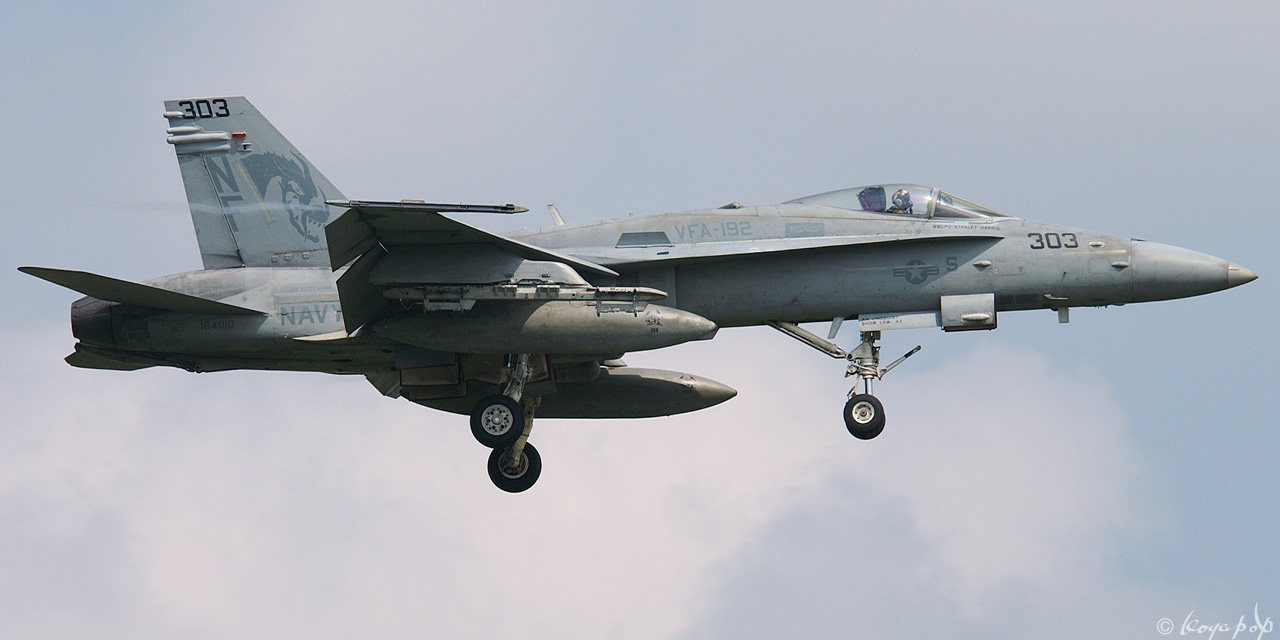 Koyapop’s LIBRARY ☆ BEAUTIFUL PLANES OF THE '00s +1 ☆ : VFA-192 NF-303 -03