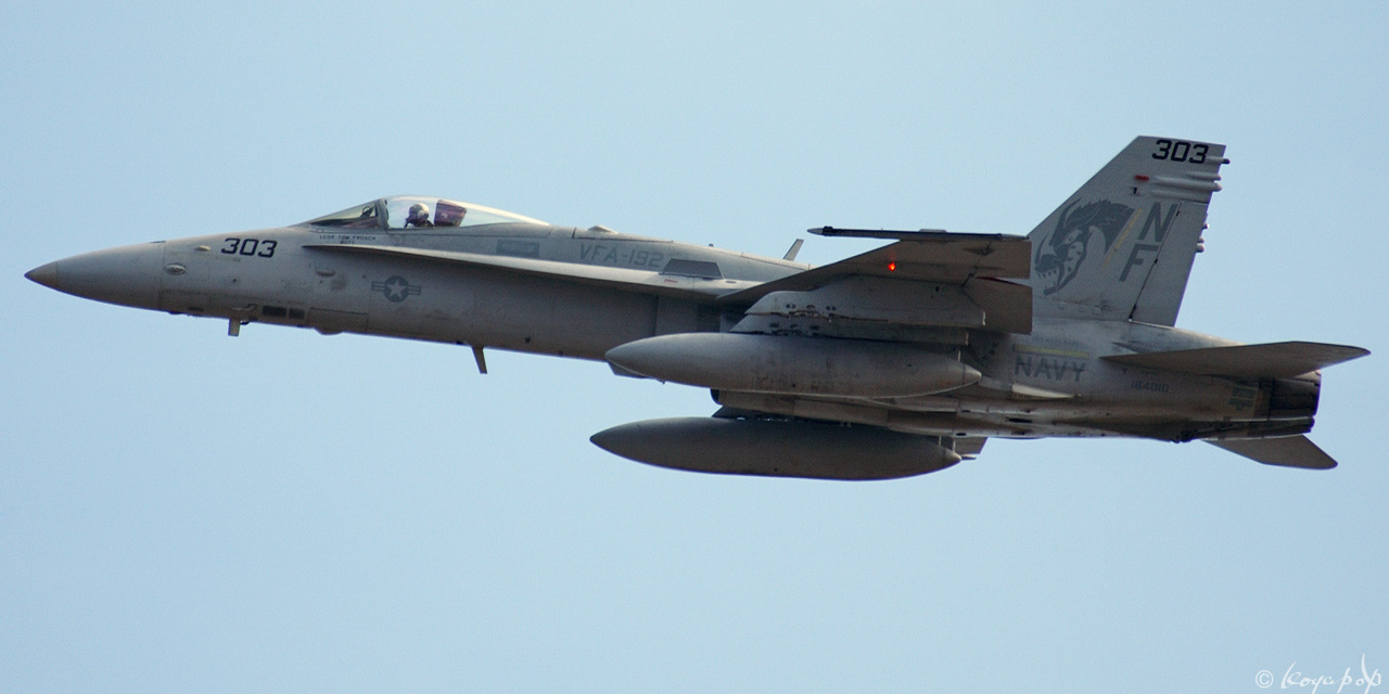 Koyapop’s LIBRARY ☆ BEAUTIFUL PLANES OF THE '00s +1 ☆ : VFA-192 NF-303 -03