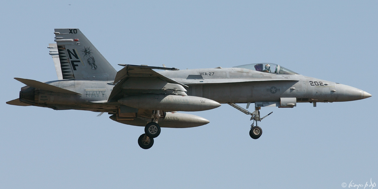 Koyapop’s LIBRARY ☆ BEAUTIFUL PLANES OF THE '00s +1 ☆ : VFA-27 NF-202