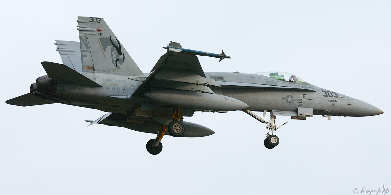 Koyapop’s LIBRARY ☆ BEAUTIFUL PLANES OF THE '00s +1 ☆ : VFA-192 NF-303 -01