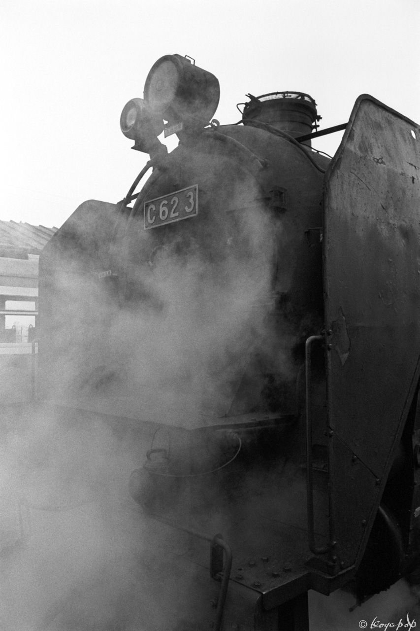 Koyapop’s LIBRARY ☆ BEAUTIFUL TRAINS +1 ☆ : 大沼駅のC62 C62 3