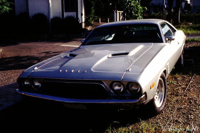 DODGE CHALLENGER : ☆ BEAUTIFUL CARS OF THE ’60s +1