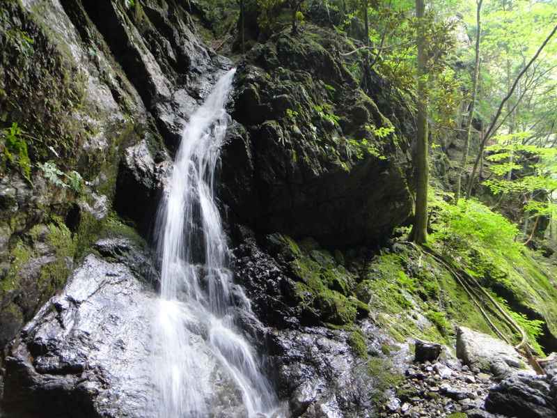 OB山行 : 京都府立大学ワンダーフォーゲル部