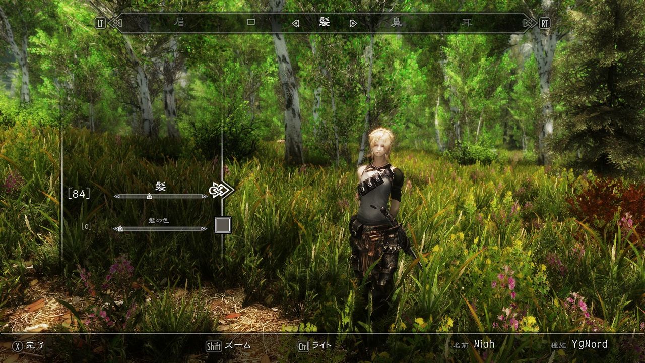 SG Hair Pack (120 hairs edition) & showRaceMenu PreCacheKiller : kskSkyrim