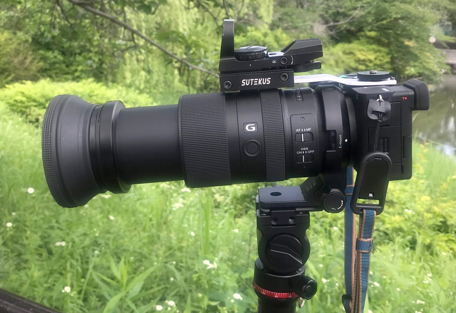 α6700と70-350mmの軽装備でカワセミ撮影 : tamsan'sリストア2 α6700と70-350mmの軽装備でカワセミ撮影 : tamsan'sリストア2
