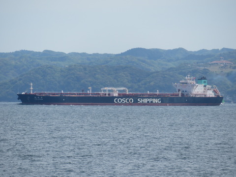 TONG LIN WAN(桐林湾) : 船舶の記録