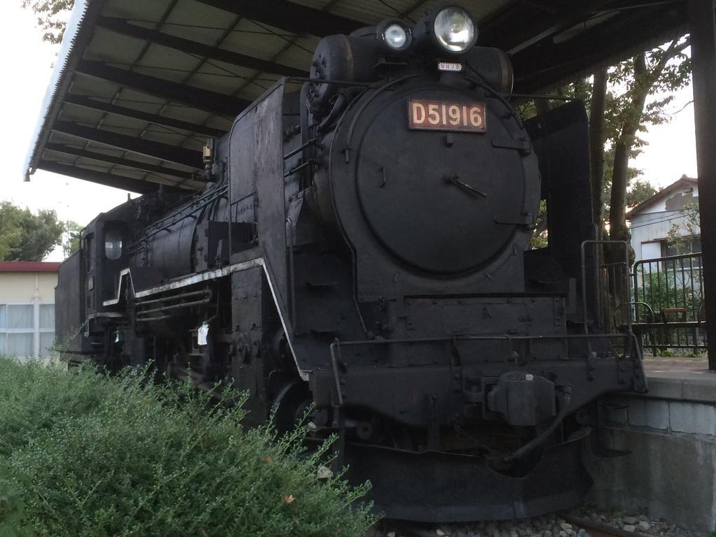【前橋】D51-916 前橋こども公園 : 保存車めぐりの記録