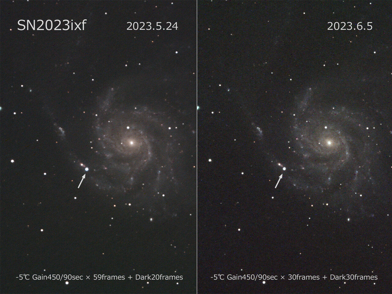 M101上の超新星SN2023ixfのその後 : 雲三昧 -雲と空の記録と独り言-