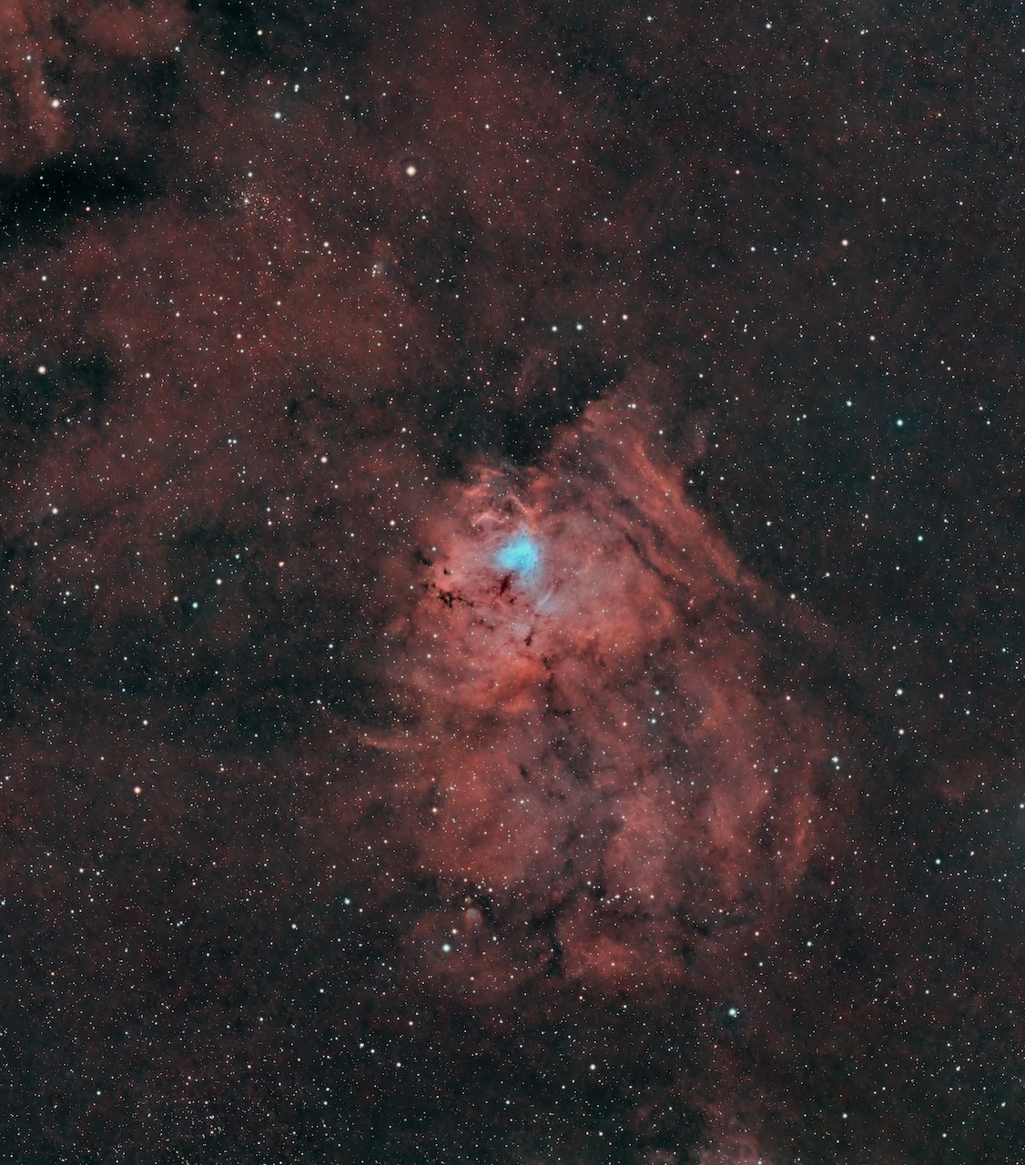 NGC1491/Sh2-206 恐竜の足跡化石 : 持続可能な天体趣味 (SAA)