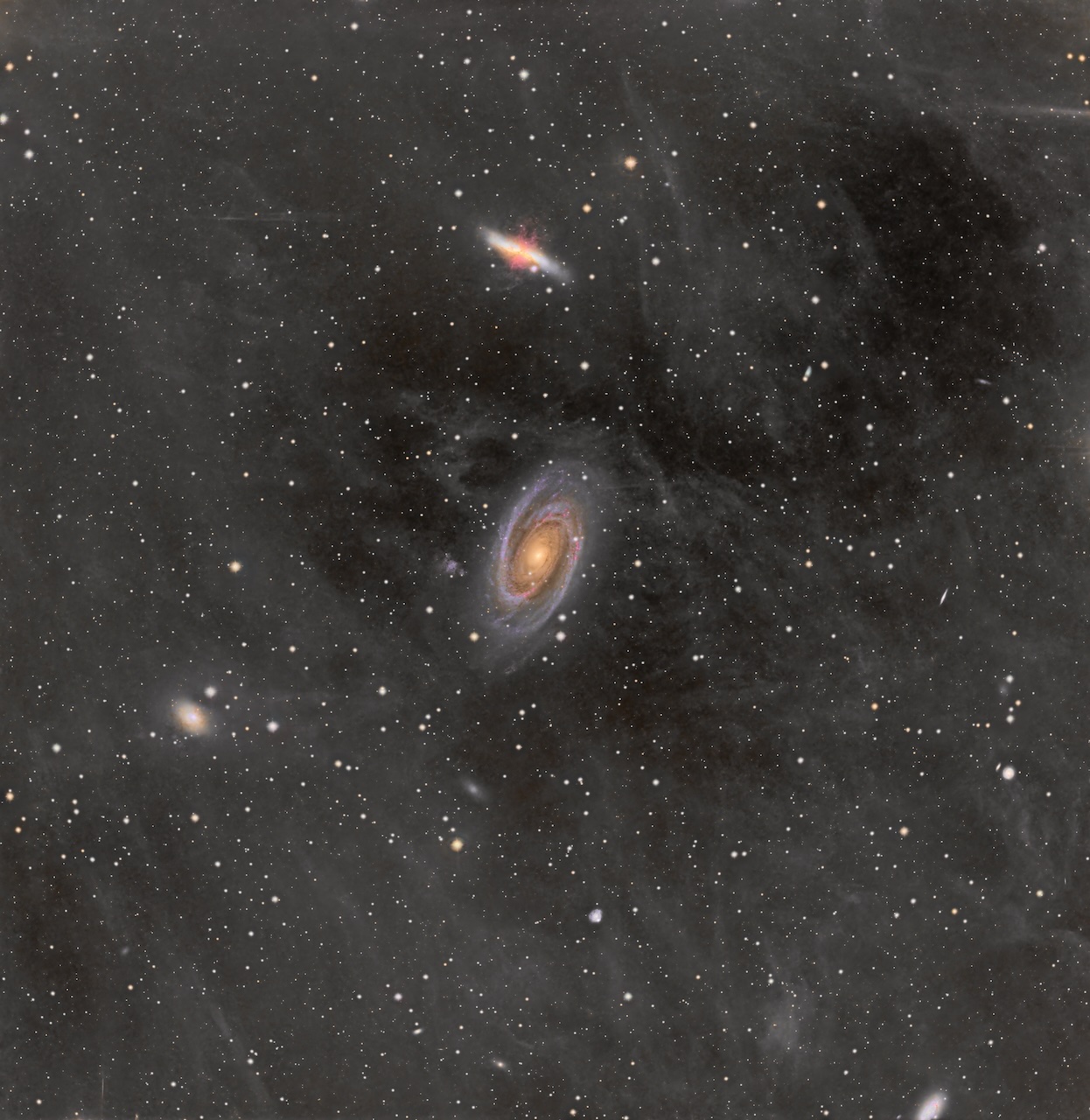 M81, M82 &周辺 IFN : 持続可能な天体趣味 (SAA)