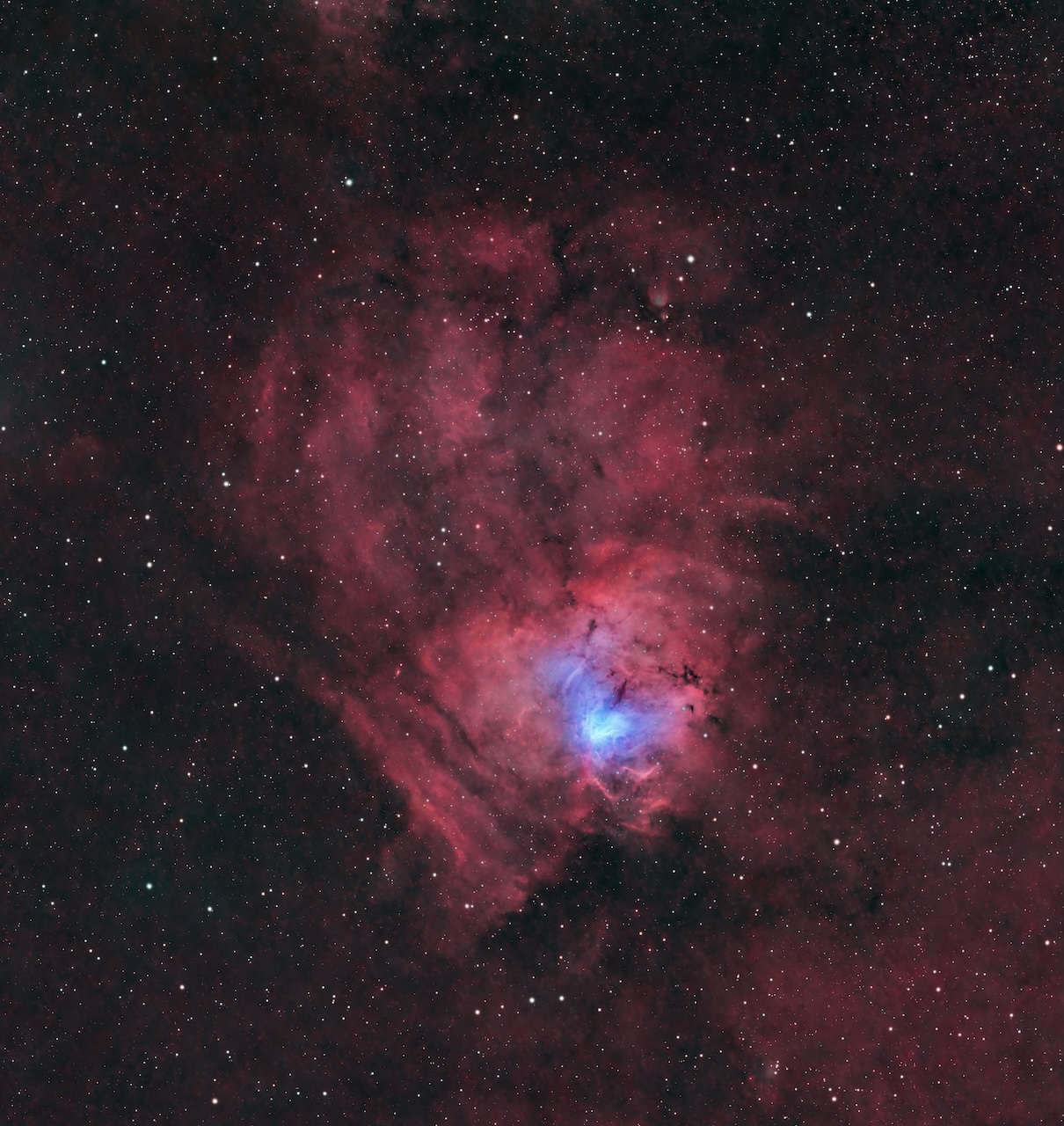 NGC1491/Sh2-206 恐竜の足跡化石 : 持続可能な天体趣味 (SAA)
