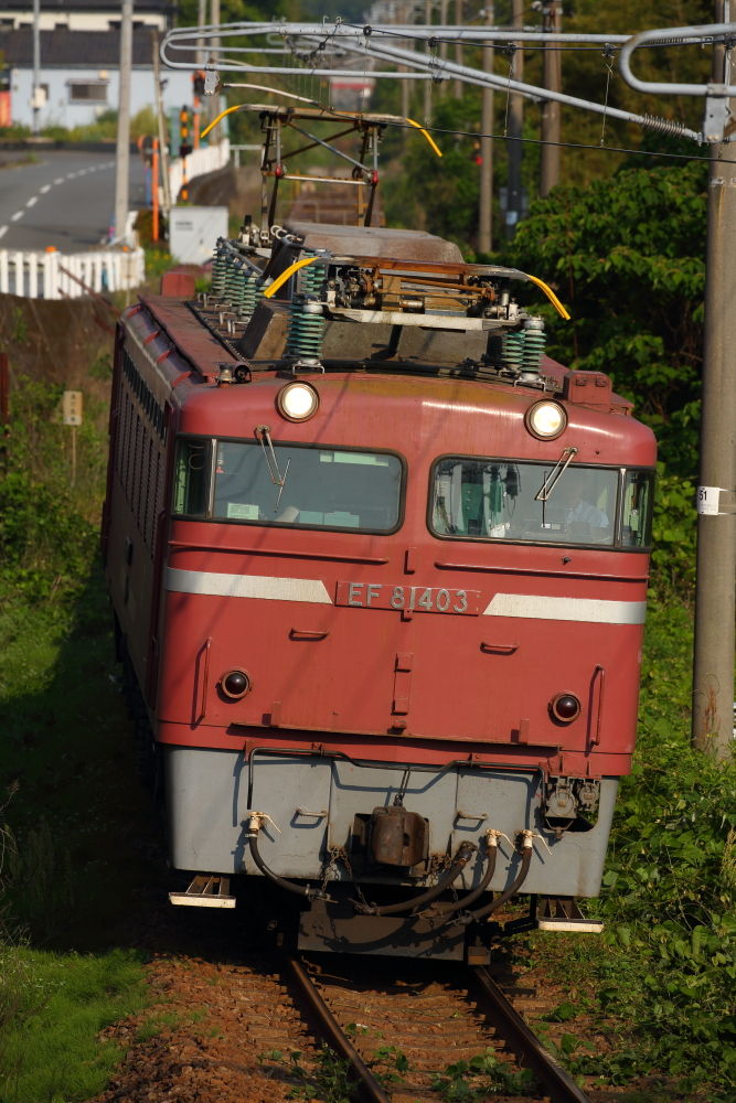 EF81 403 ＠湯之元 : クロ481－1【鹿カコ】
