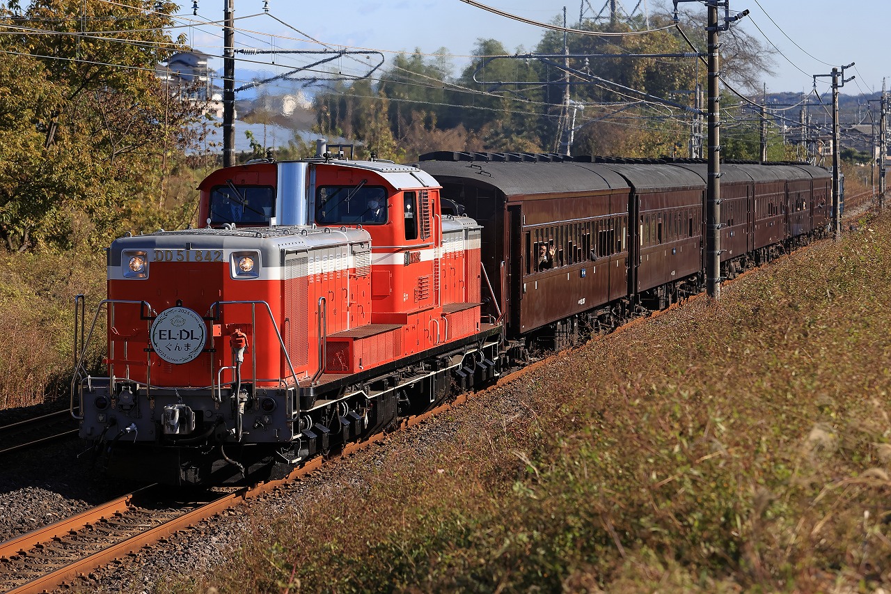 てんきん定期便（鉄撮記） : DD51 842/EF65 501 DL／ELぐんま1fin（6．11．24））