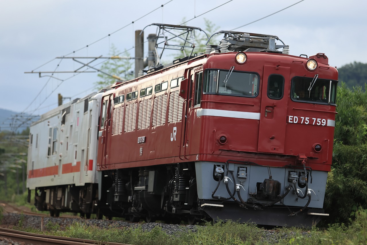 てんきん定期便（鉄撮記） : ED75 759 マヤ50返却回送（5．9．22）