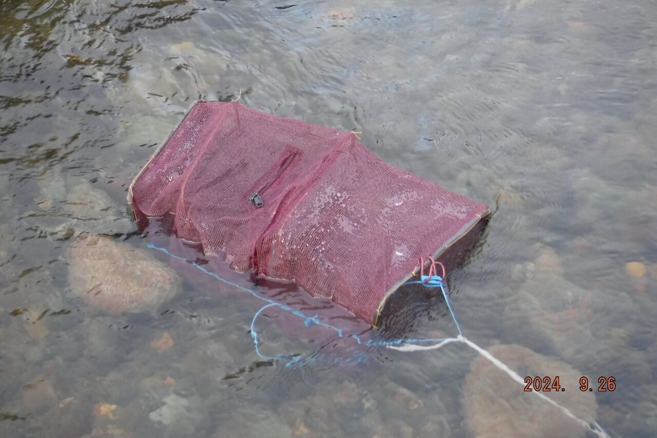 鮎釣り : 鮎 上州くるぶしチャラ瀬隊