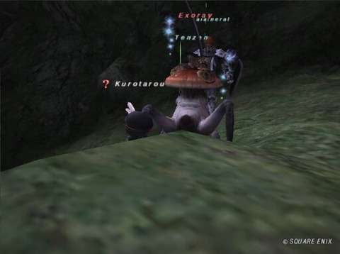 FF11 - Lv50の初めての限界突破クエスト(レベル上限50→55への道) - 『古代魔法のパピルス』『エクソレイの粘菌』『ボムの炭 ...
